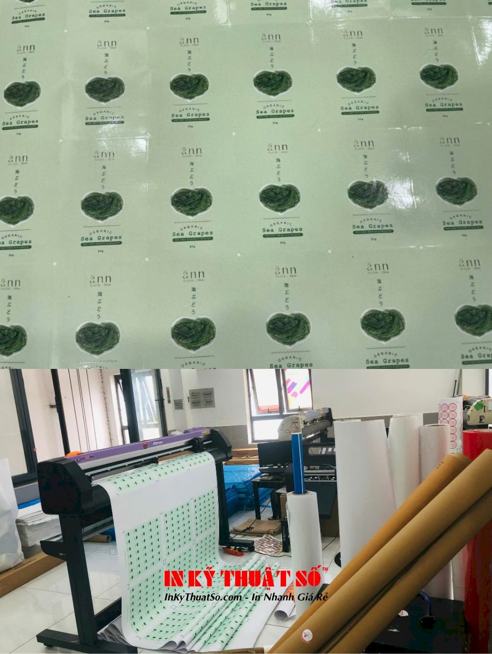 In tem nhãn rong nho biển, Decal sữa mực dầu cán màng mờ, bế theo viền ...